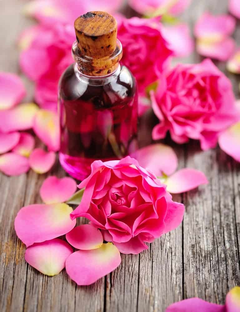 Rose perfumes: The most elegant flower of them all | Alyssa Ashley