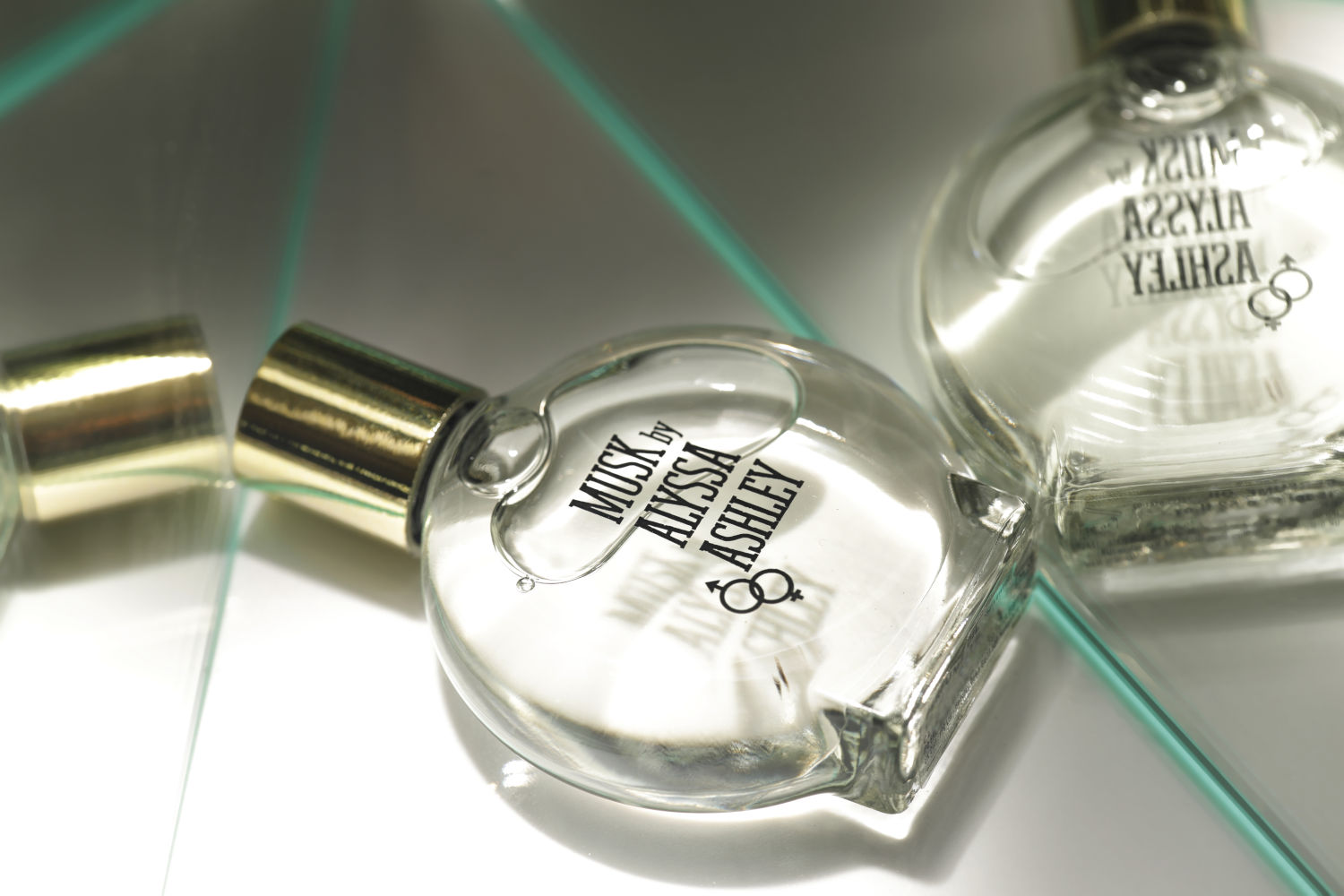 Musk by Alyssa Ashley Sensual Perfume | Discover the whole line