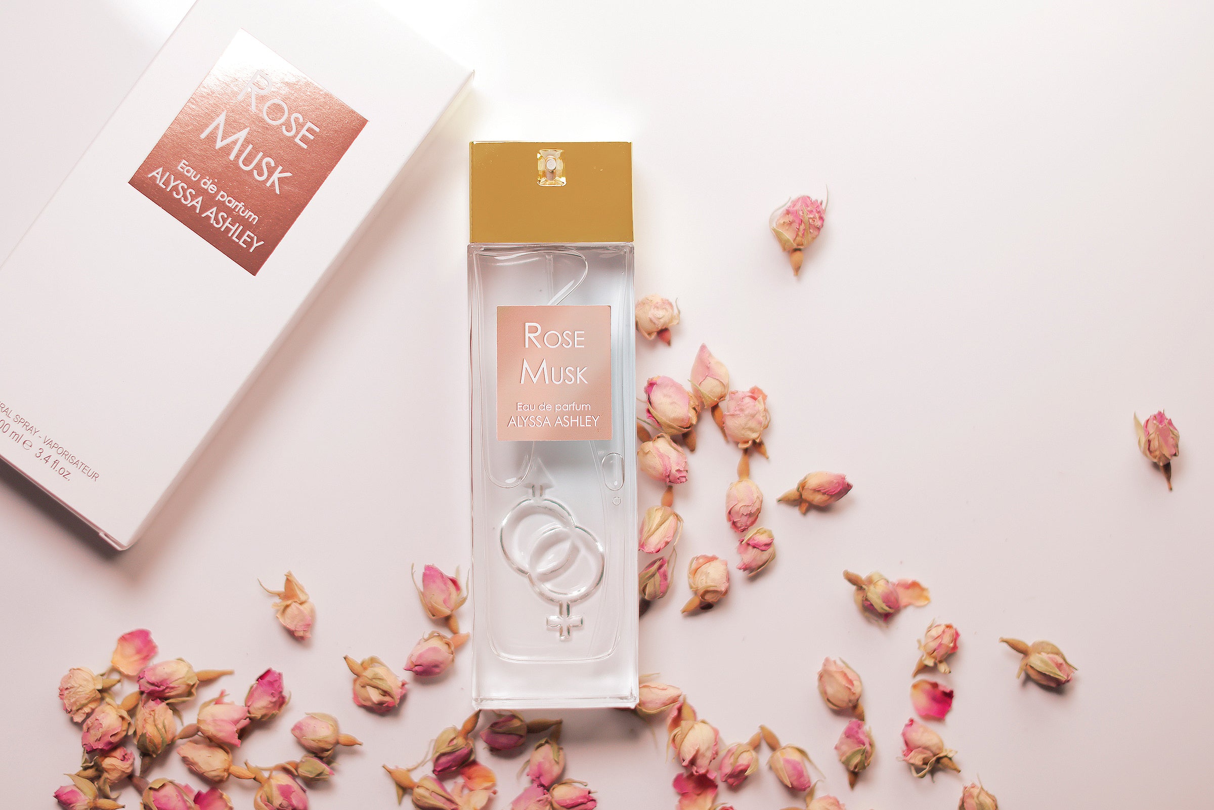 Musk profumo : tributo alla Rosa | Alyssa Ashley